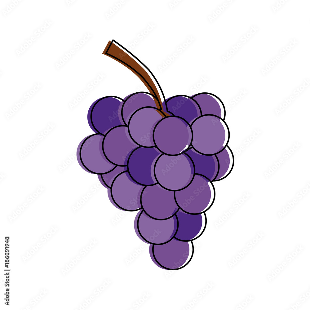 Grapes Graphic Design