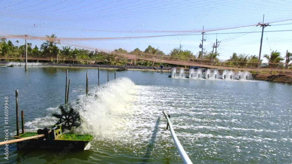 Water treatment. Surface aerator to enrich the pond with oxygen, motor ...