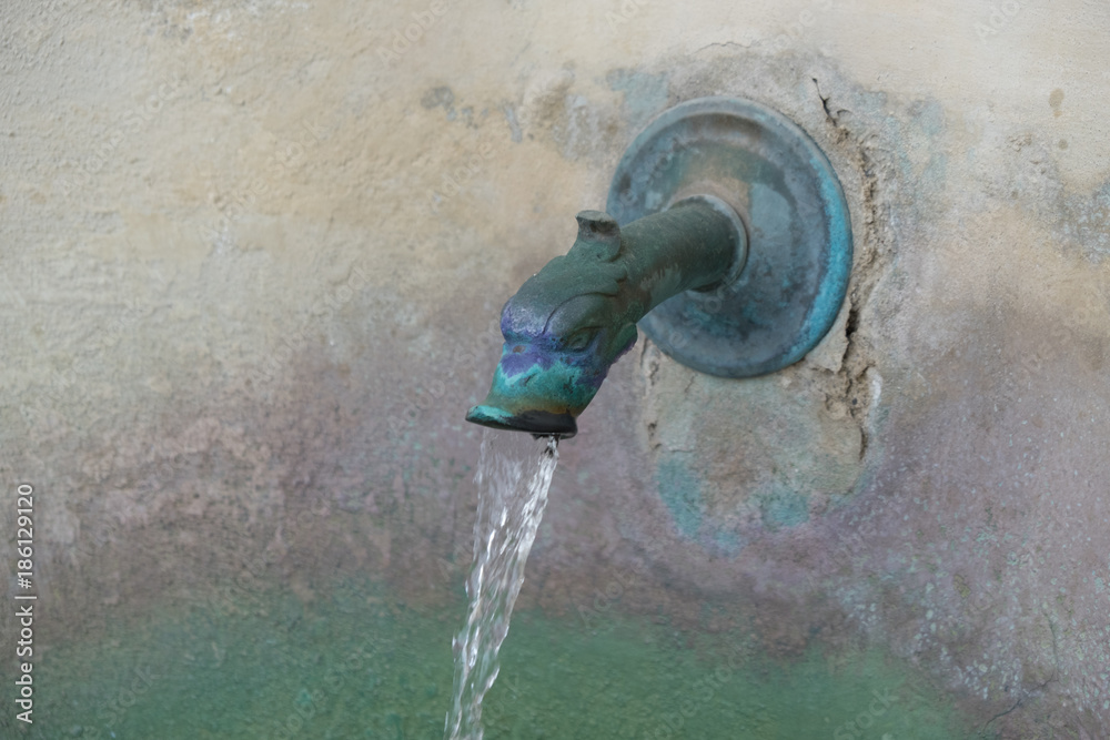 Water coming out of a spigot shaped like a dragon. Animal shaped faucet ...