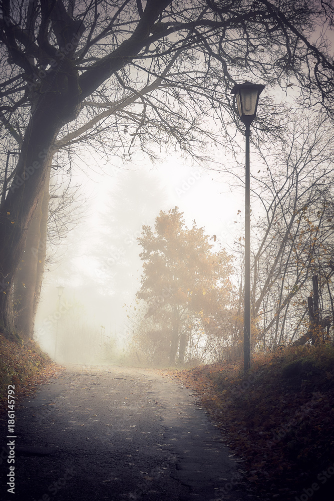 Spooky Dirt Road