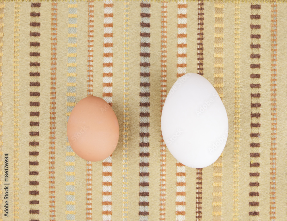 Duck egg vs. chicken egg Stock Photo | Adobe Stock