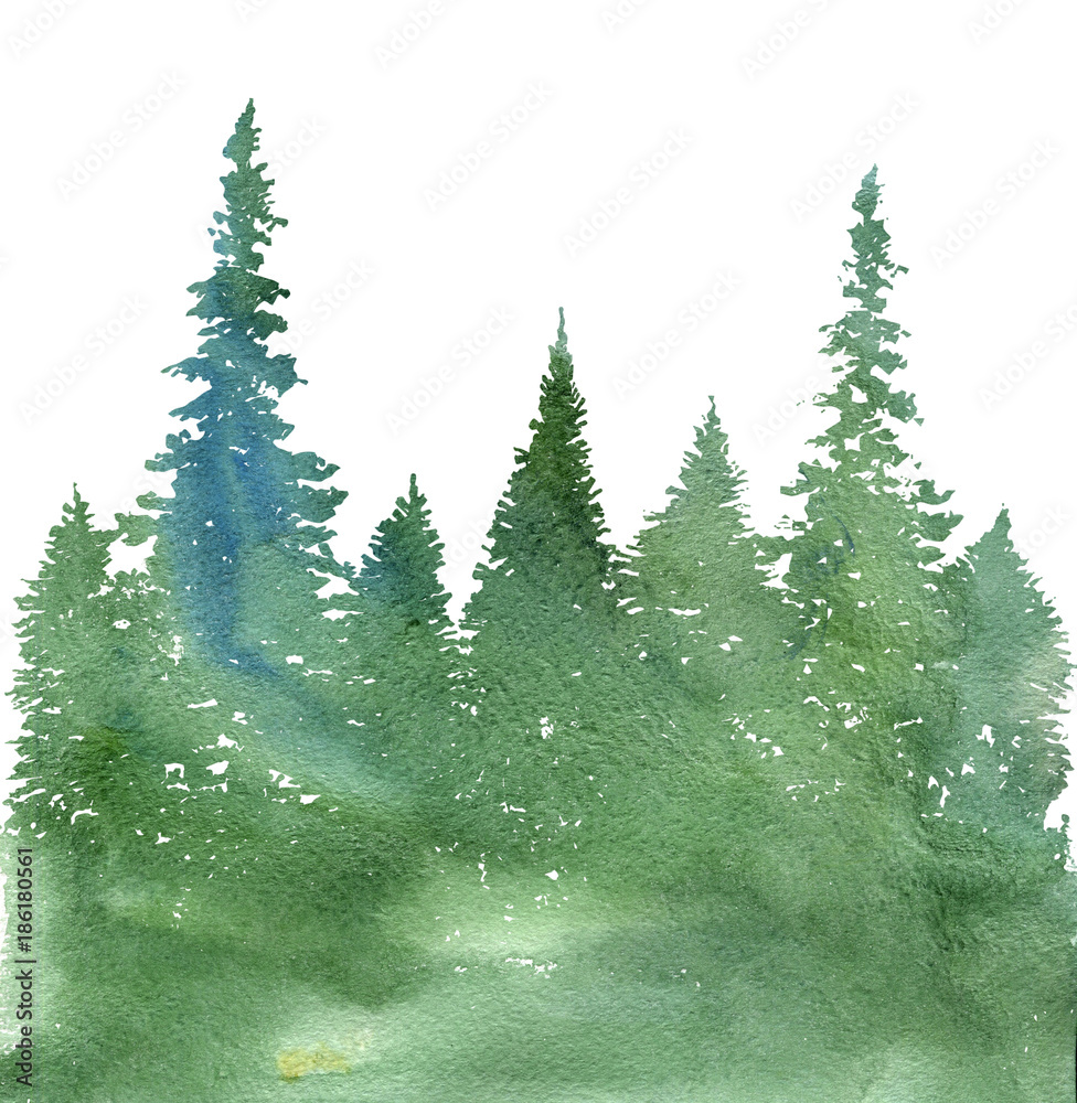 watercolor landscape with fir trees Stock Illustration | Adobe Stock