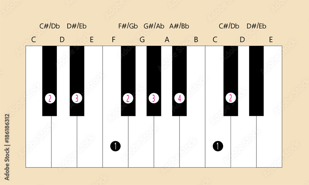 Db major scale fingering for piano Stock Vector | Adobe Stock