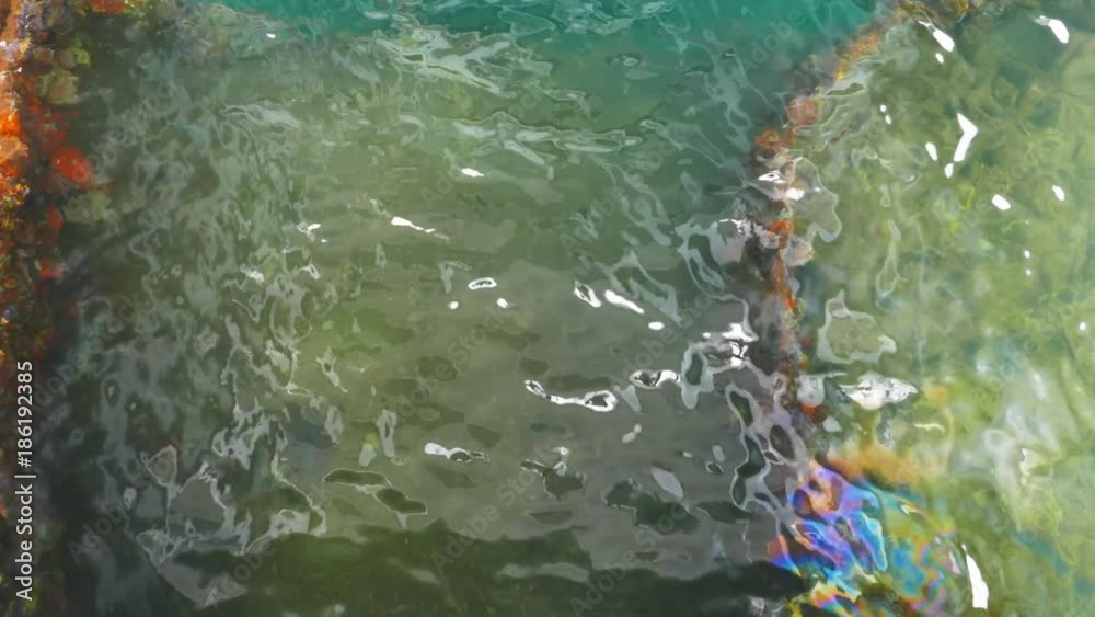 close up of a section of the hull of the uss arizona at pearl harbor ...