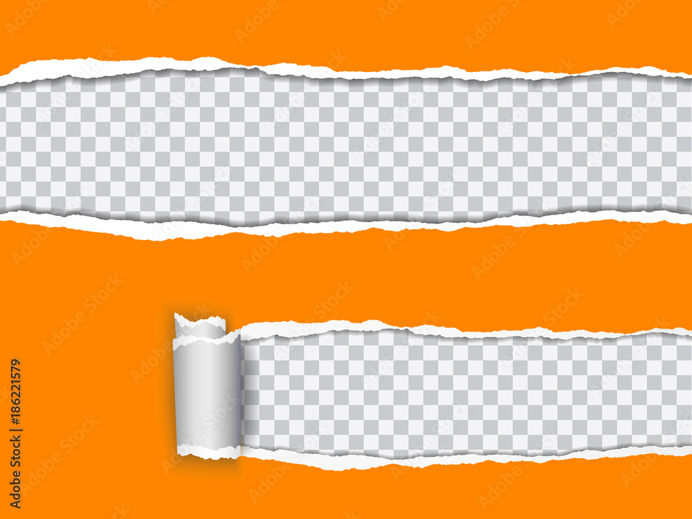 Set vector realistic illustration of orange torn paper with rolled edge ...