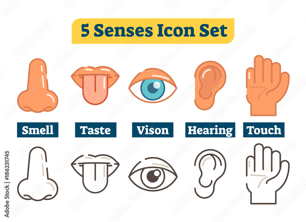 Five human body senses smell, taste, vision, hearing, touch Stock ...