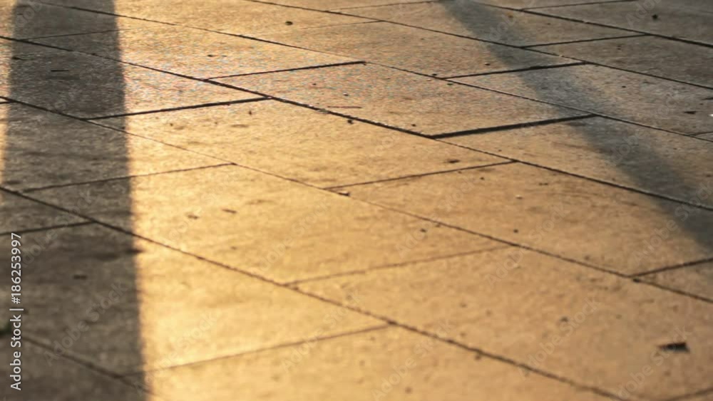 Cobbled paths for walking in urban street. Close up shadows trees and ...
