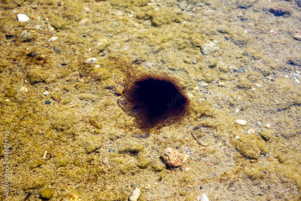 Texture of crude oil spill, pools of crude oil floating on the surface ...