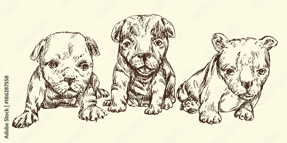 Three puppies sitting, hand drawn doodle sketch, isolated vector ...