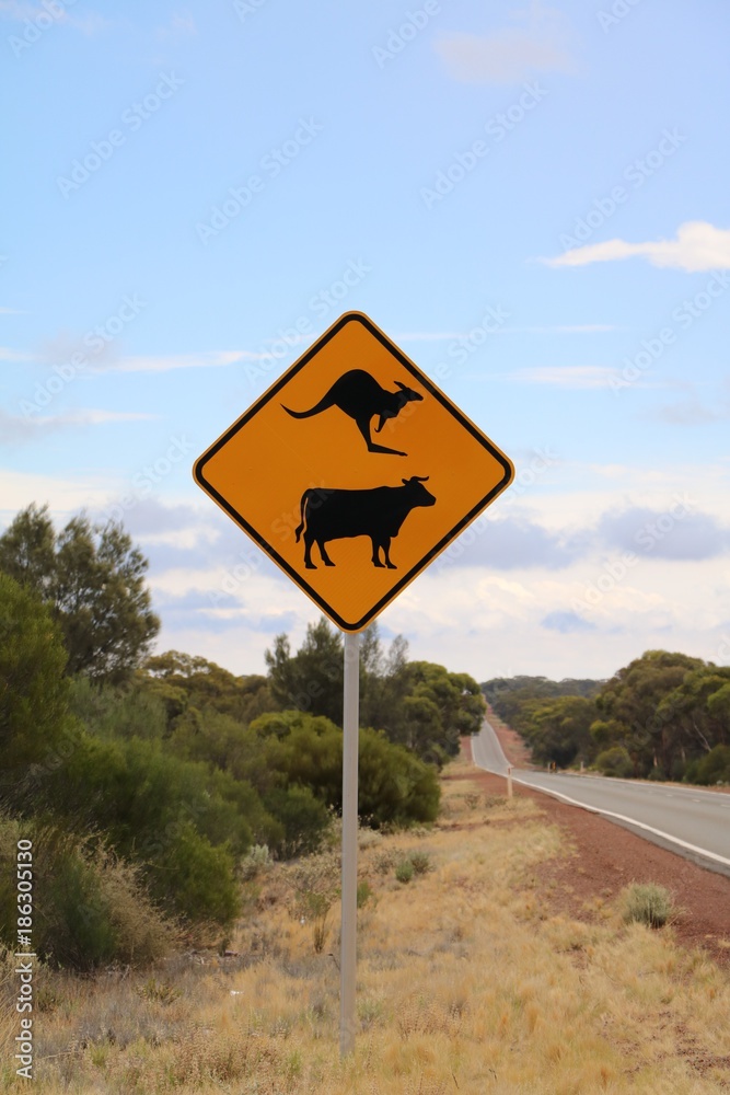 Attention Kangaroo and Cows,Traffic Sign in Australia Stock Photo ...