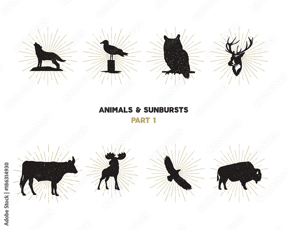 Jungle Animal Shapes