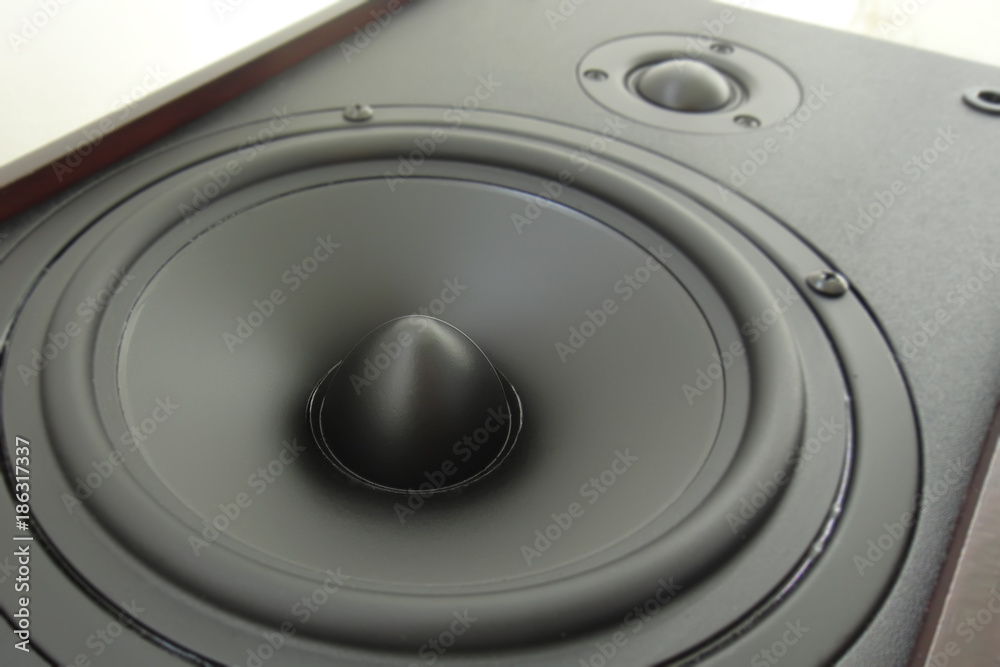Hi end loudspeakers. Monitor hifi sound system for sound recording ...