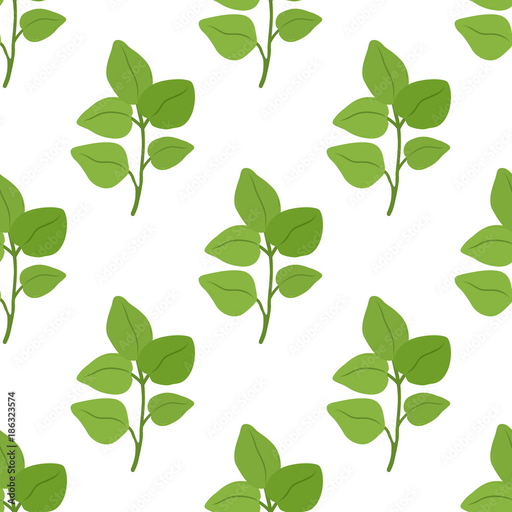 Oregano Leaf Vector