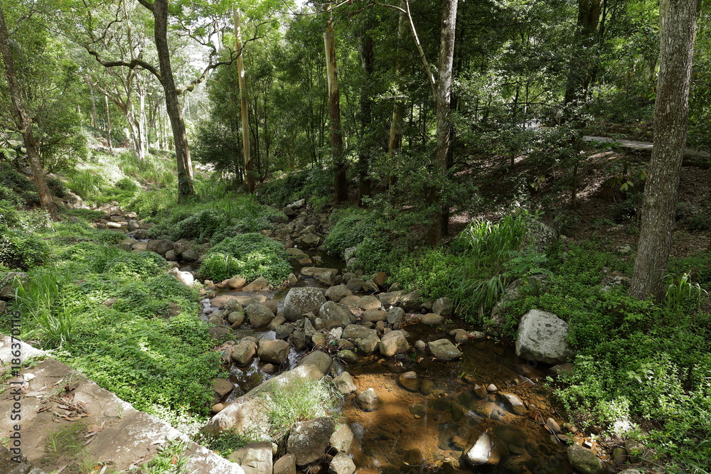 Foto de Landschaft in der Knuckles Range bei Kandy in Sri Lanka do ...