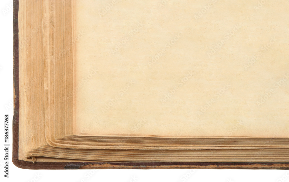 Vintage Photograph Edge