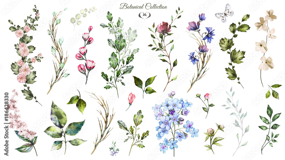 Big Set watercolor elements - wildflowers, herbs, leaf. collection ...