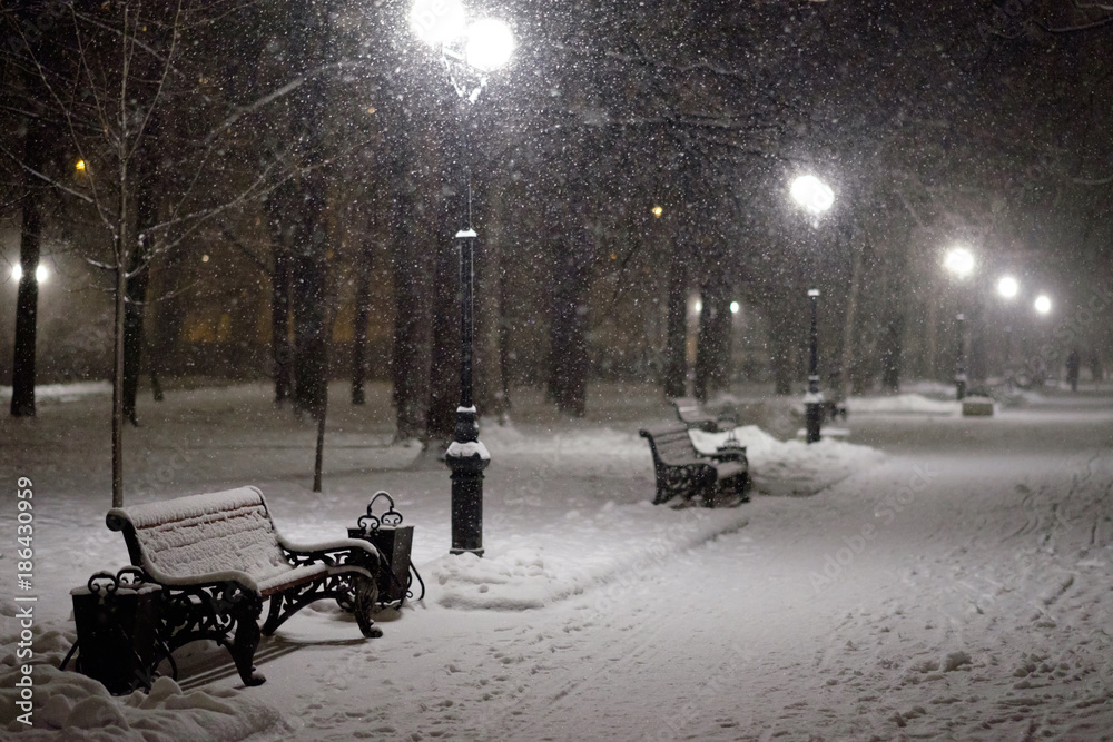 Blizzard At Night