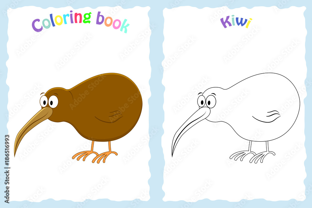 Coloring book page for preschool children with colorful kiwi bird and ...