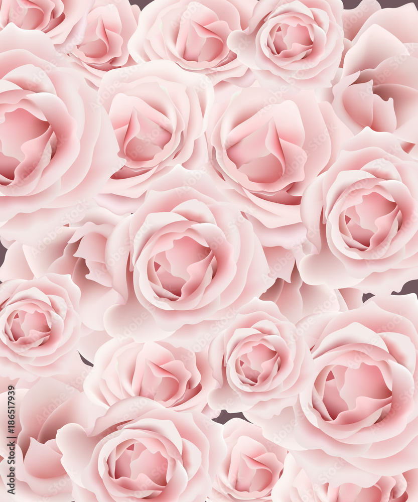 Delicate roses pattern background Vector. Floral template design ...
