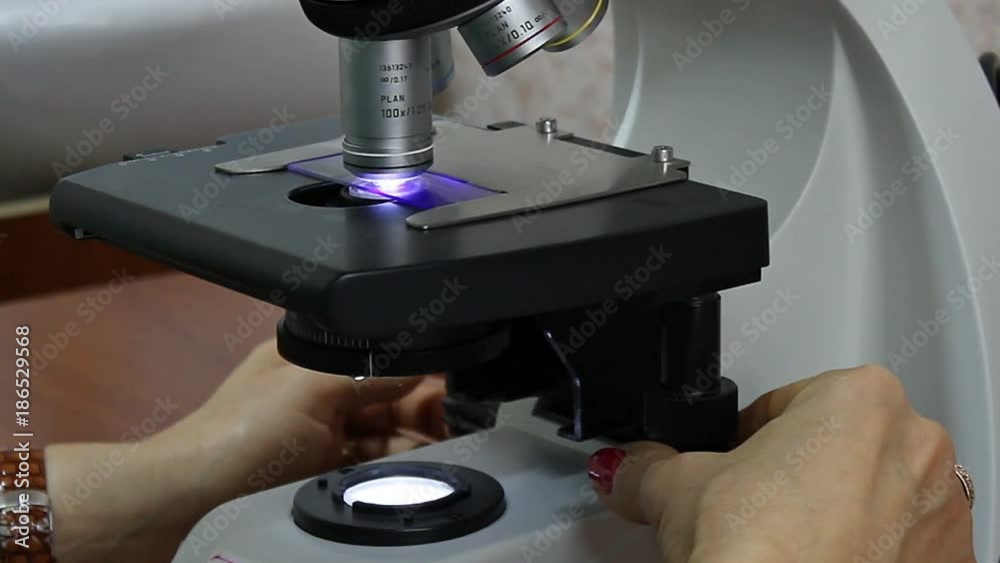 Working with a microscope. Lab microscope. Setting the microscope ...