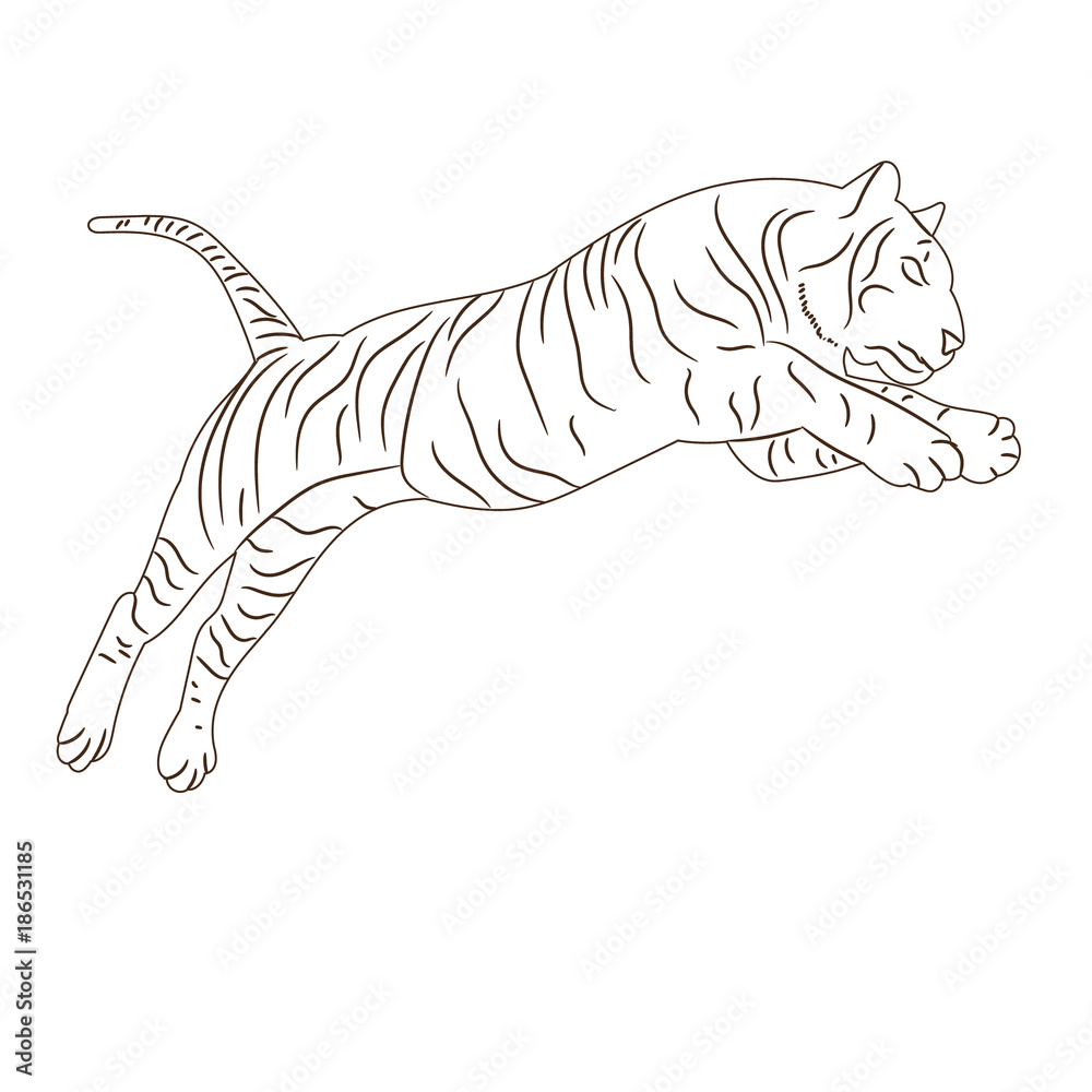 Leaping Tiger Drawing