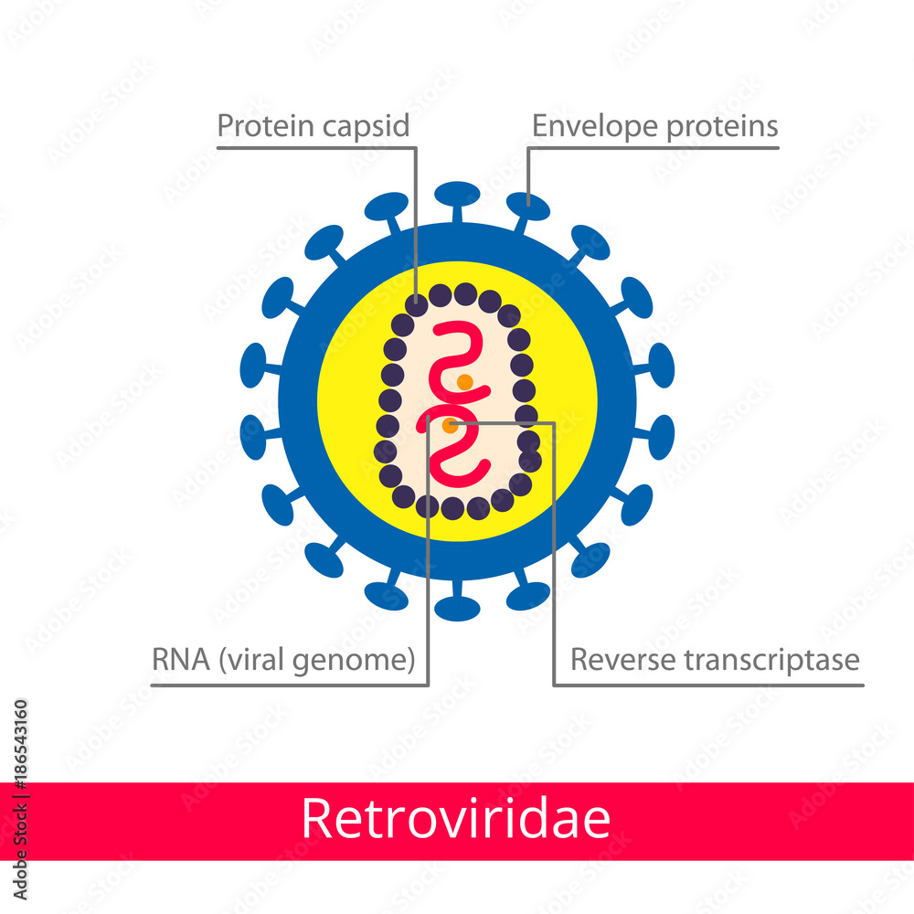 Retroviridae. Classification of viruses. Vector biology icons, medical ...