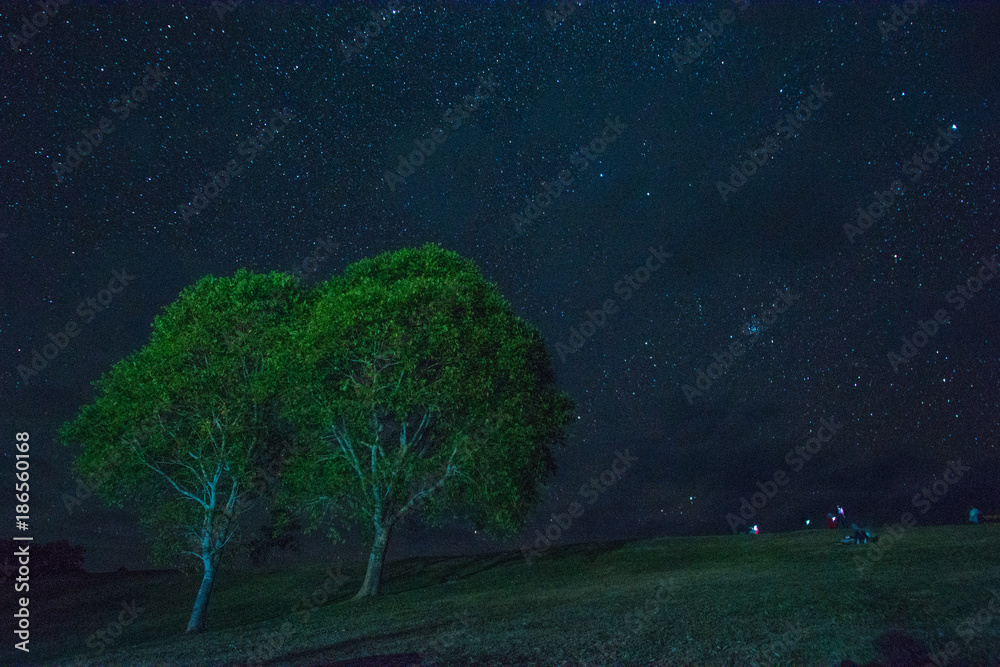 star at night above the tree , Doi Samer-Dao in Si Nan National Park ...