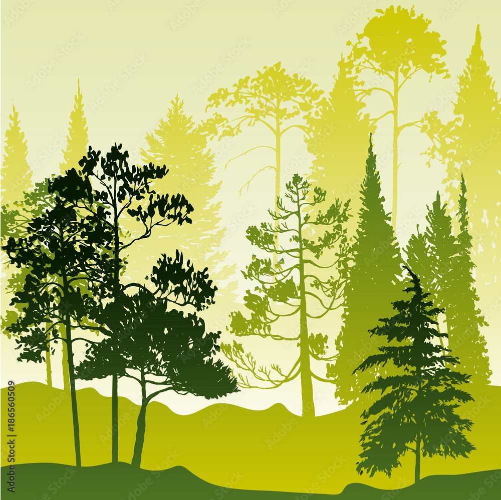 vector landscape with pine trees Stock Vector | Adobe Stock
