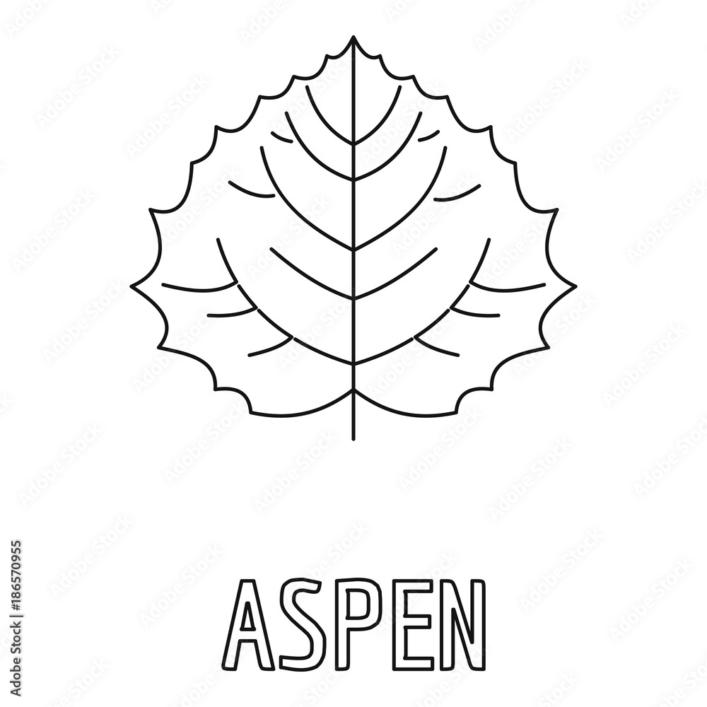 Aspen leaf icon. Outline illustration of aspen leaf vector icon for web ...
