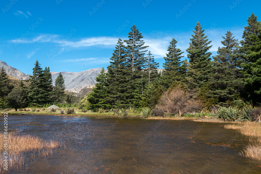 High Country Scenery
