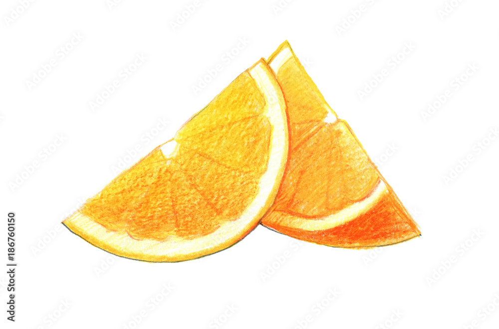 Orange Fruit Pencil Drawing