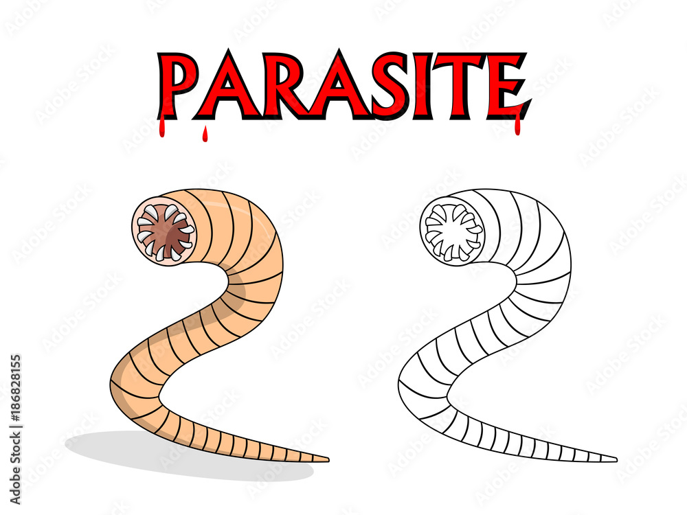 Parasitic nematode worms in vector cartoon design Stock Vector | Adobe ...