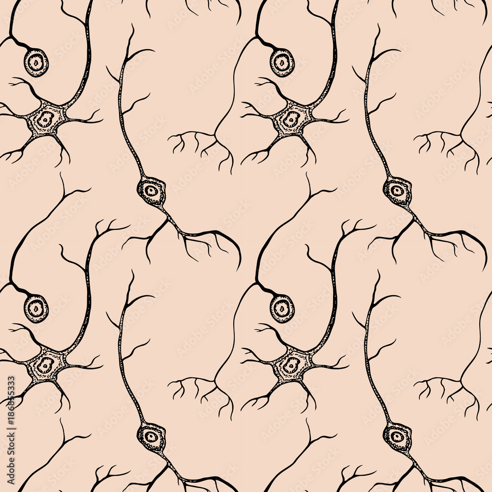 Pattern of the different cells of nervous system Stock Vector | Adobe Stock