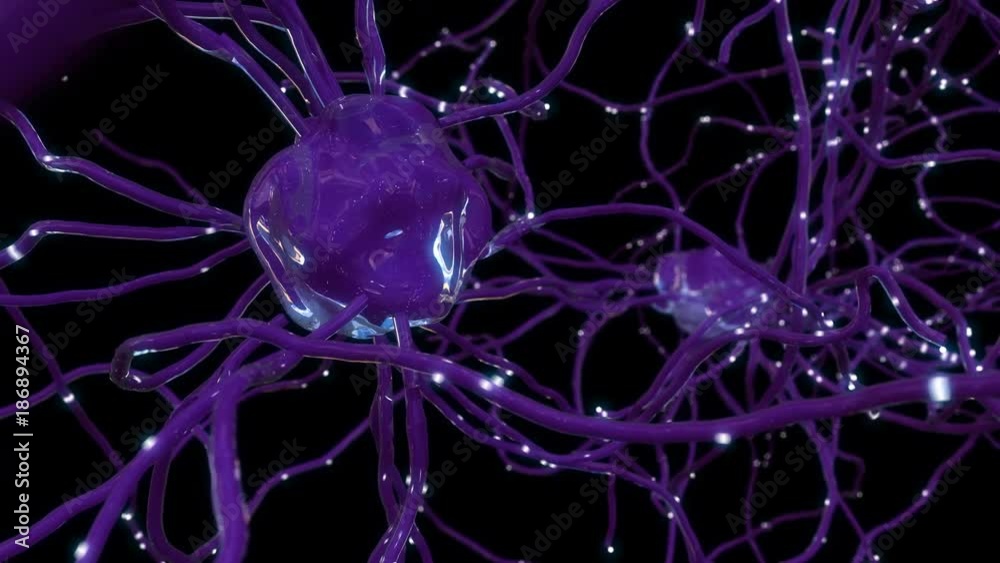Vidéo Stock Human neurons with firing synapses. 4K UHD animation ...