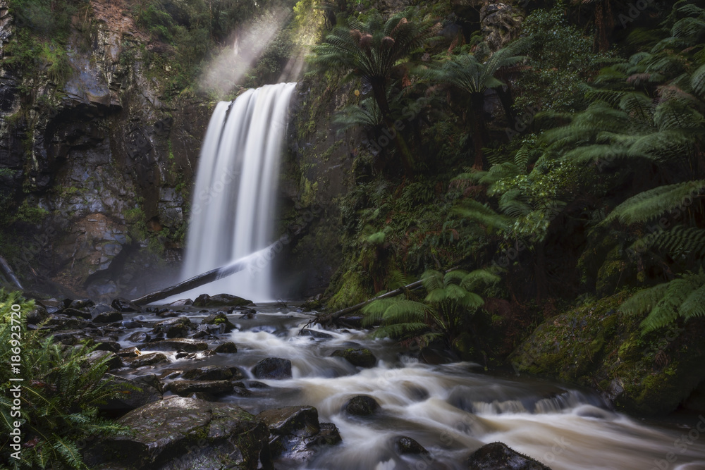 hopetoun falls in Grat Otway National park Stock Photo | Adobe Stock