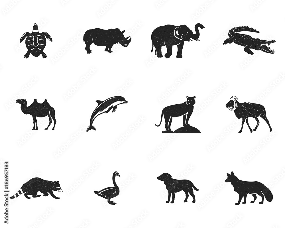 Wild animal figures and shapes collection isolated on white background ...