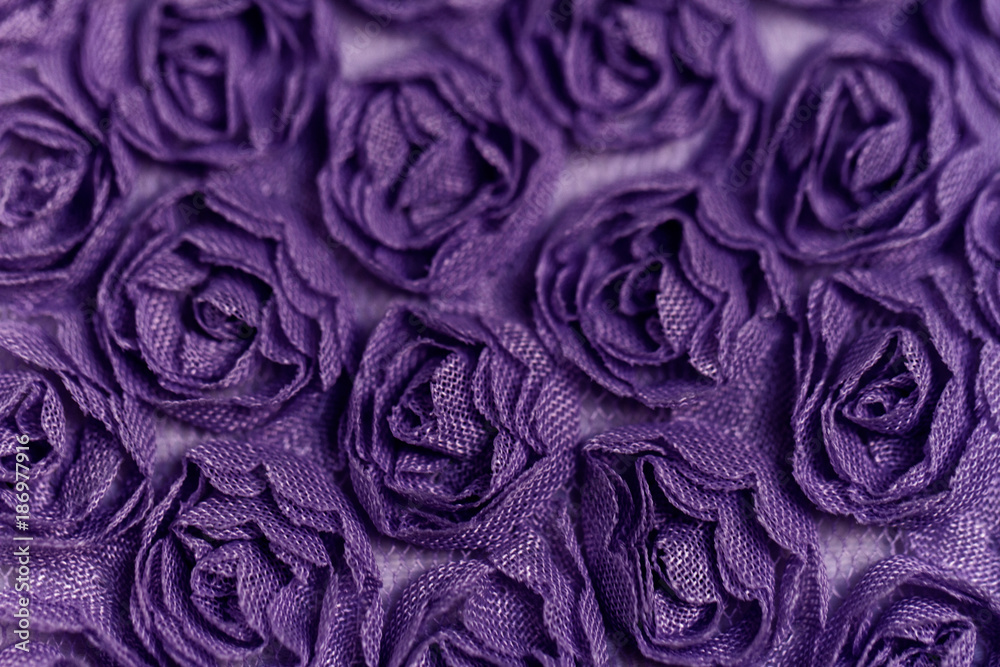 Purple rose background Stock Photo | Adobe Stock