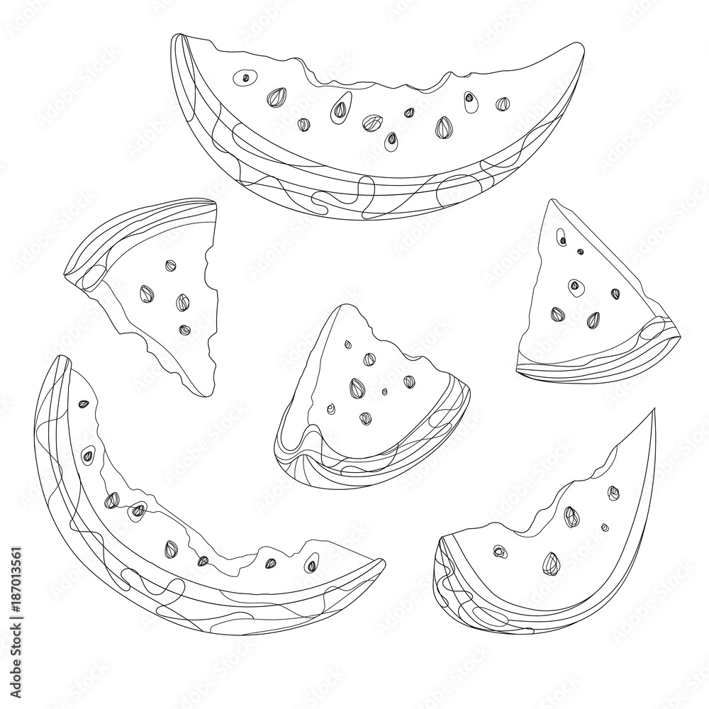Vector set of slices of watermelon. Black and white drawing by hand ...
