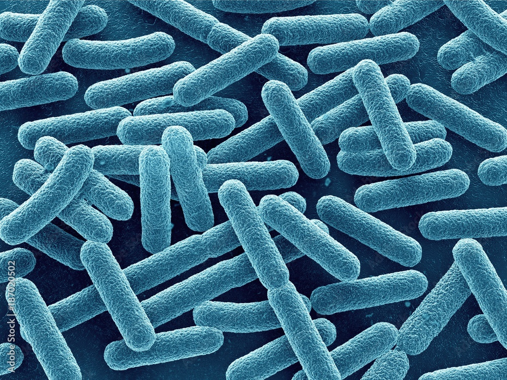 Escherichia coli bacteria 3d close up. Rod-shaped. Stock Illustration ...