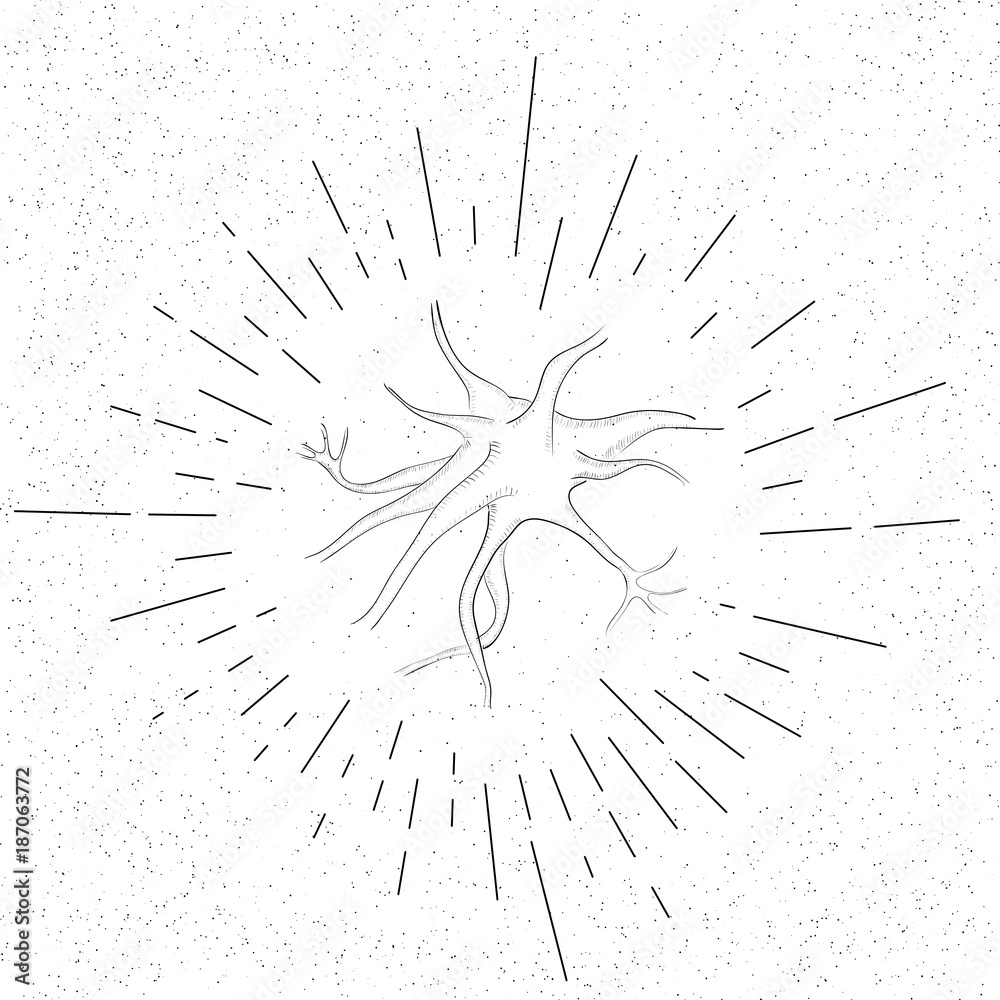 Hand Drawn Symbol of Brain Cell Neuron - Doodle Vector Hatch Icon Stock ...