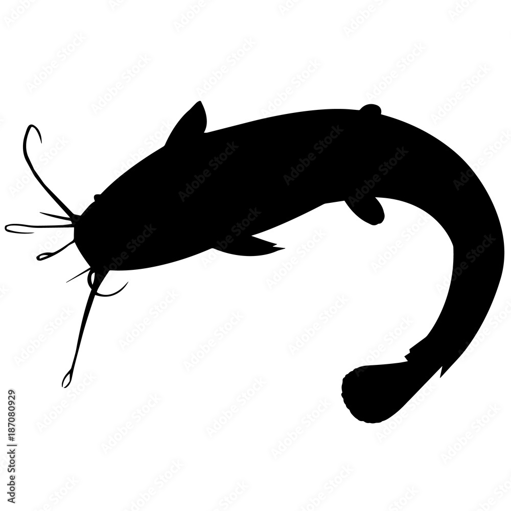 Catfish Stock Vector | Adobe Stock