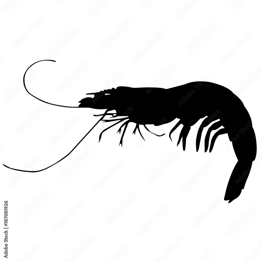 Krill Silhouette Vector Graphics Stock Vector | Adobe Stock