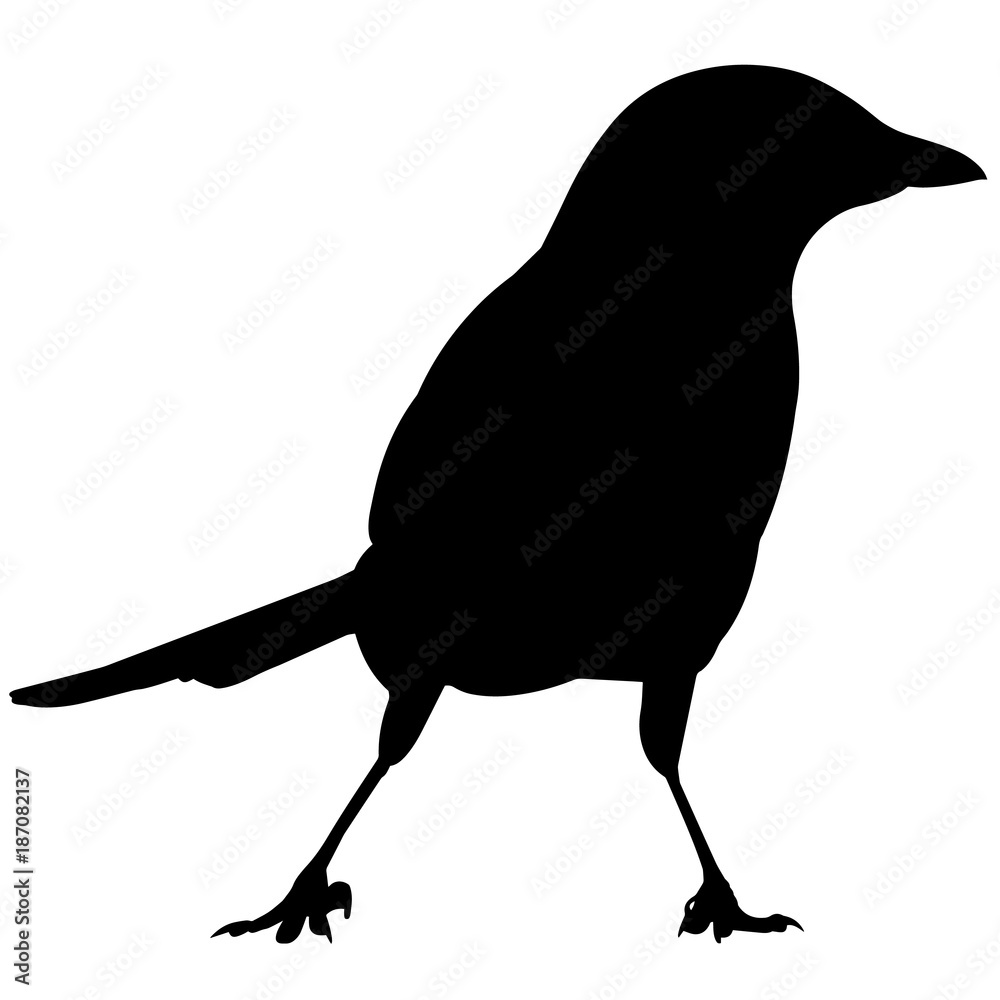 Magpie Silhouette Vector Graphics Stock Vector | Adobe Stock