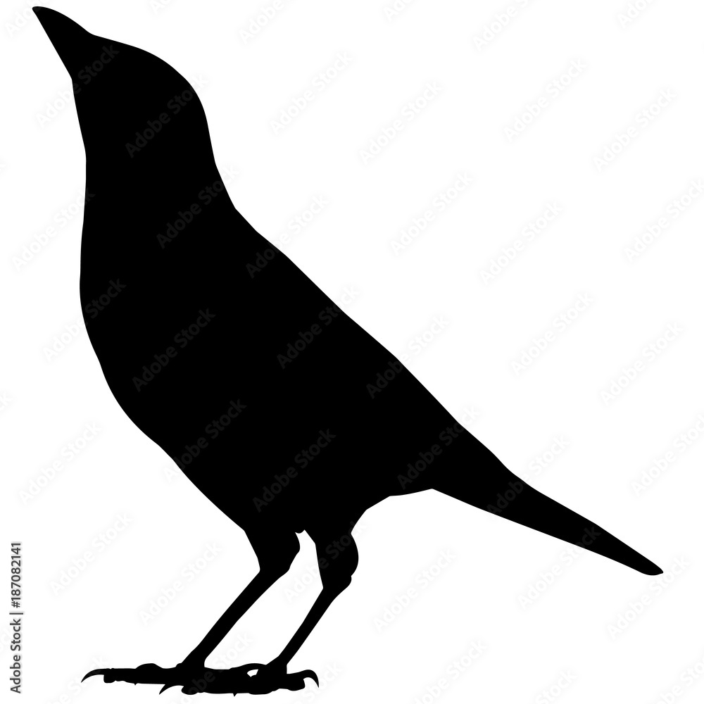 Magpie Silhouette Vector Graphics Stock Vector | Adobe Stock