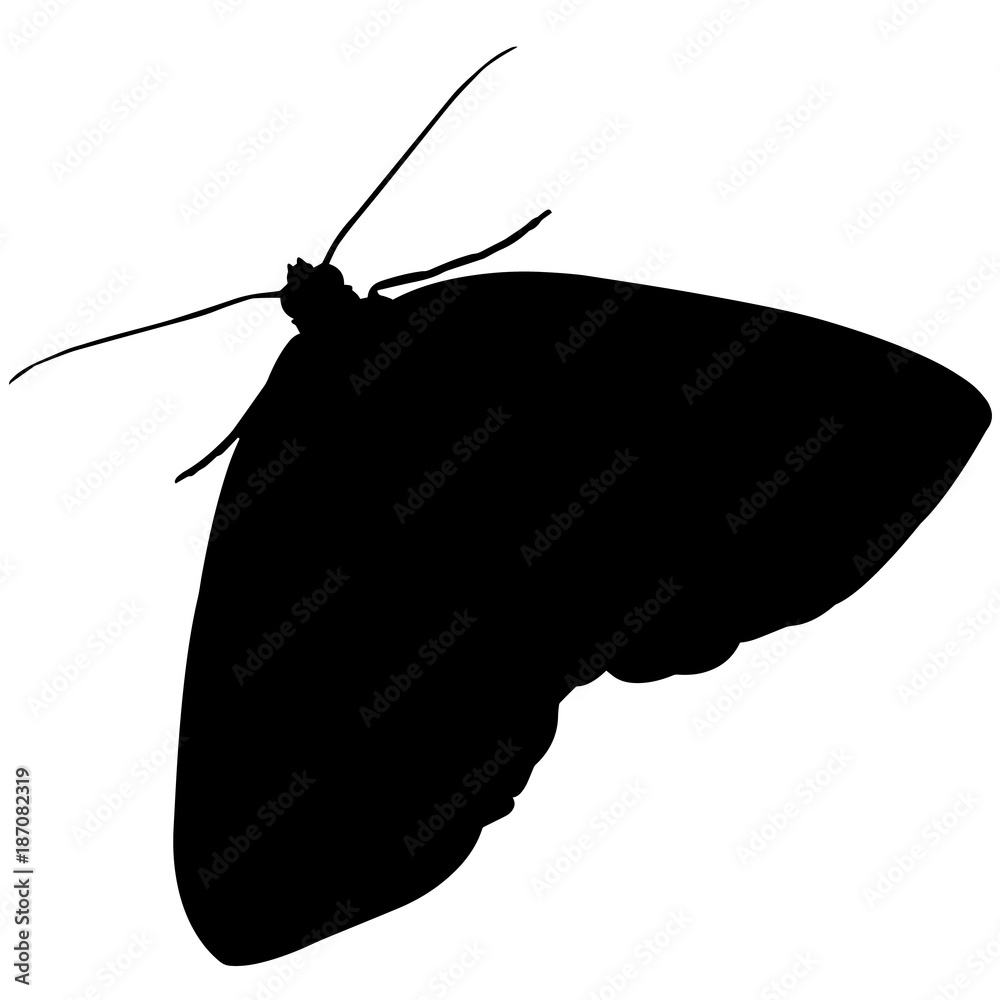 Moth Silhouette Vector Graphics Stock Vector | Adobe Stock