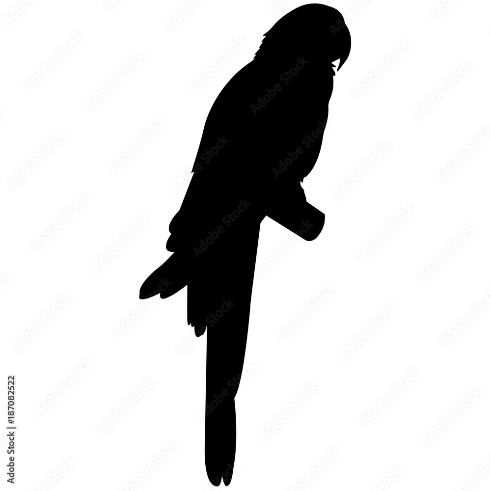 Parrot Silhouette Vector Graphics Stock Vector | Adobe Stock