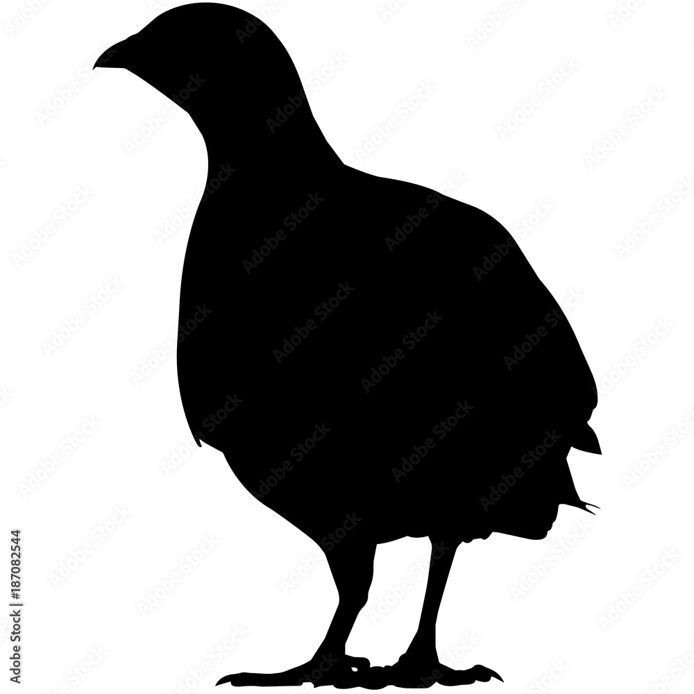 Partridge Silhouette Vector Graphics Stock Vector | Adobe Stock
