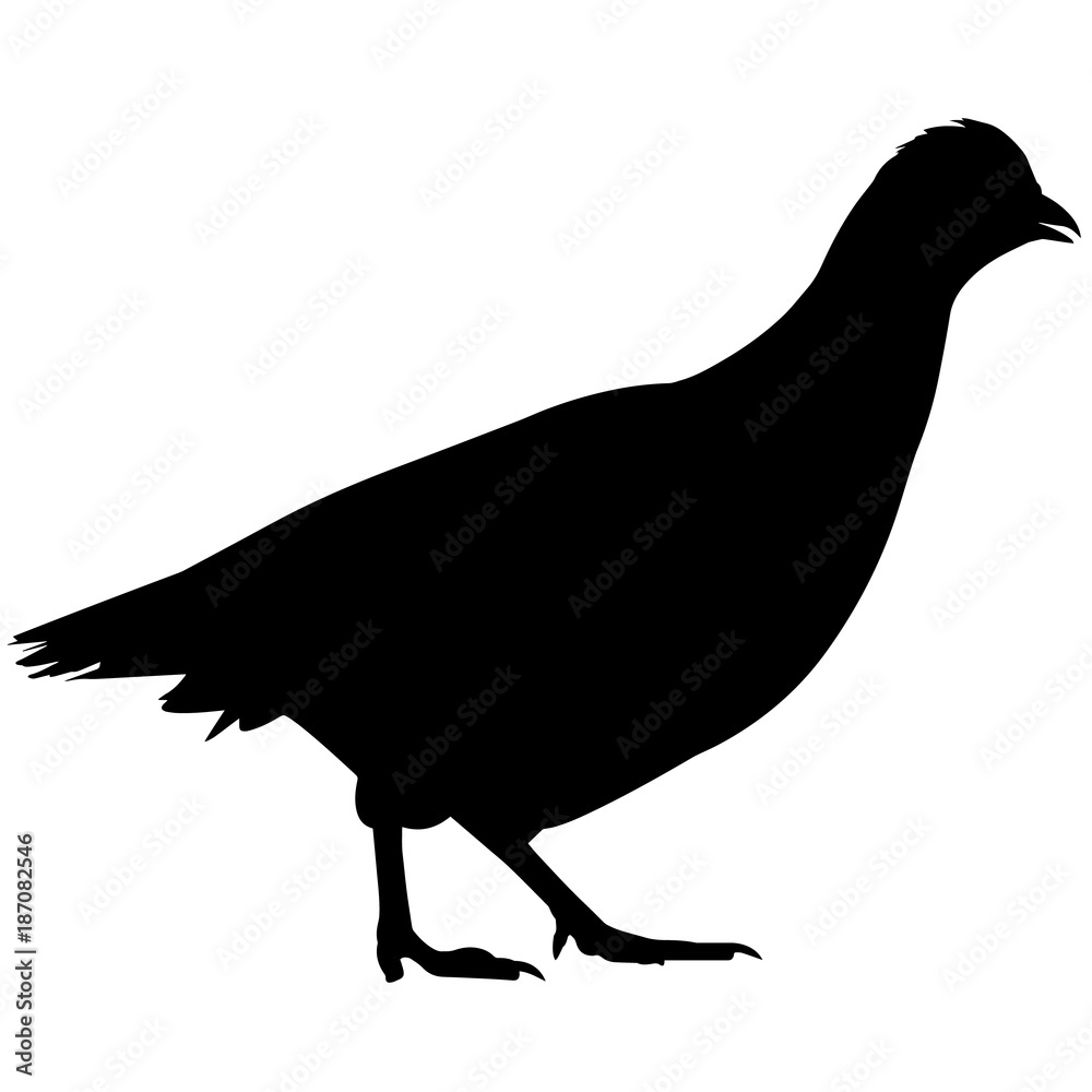 Partridge Silhouette Vector Graphics Stock Vector | Adobe Stock