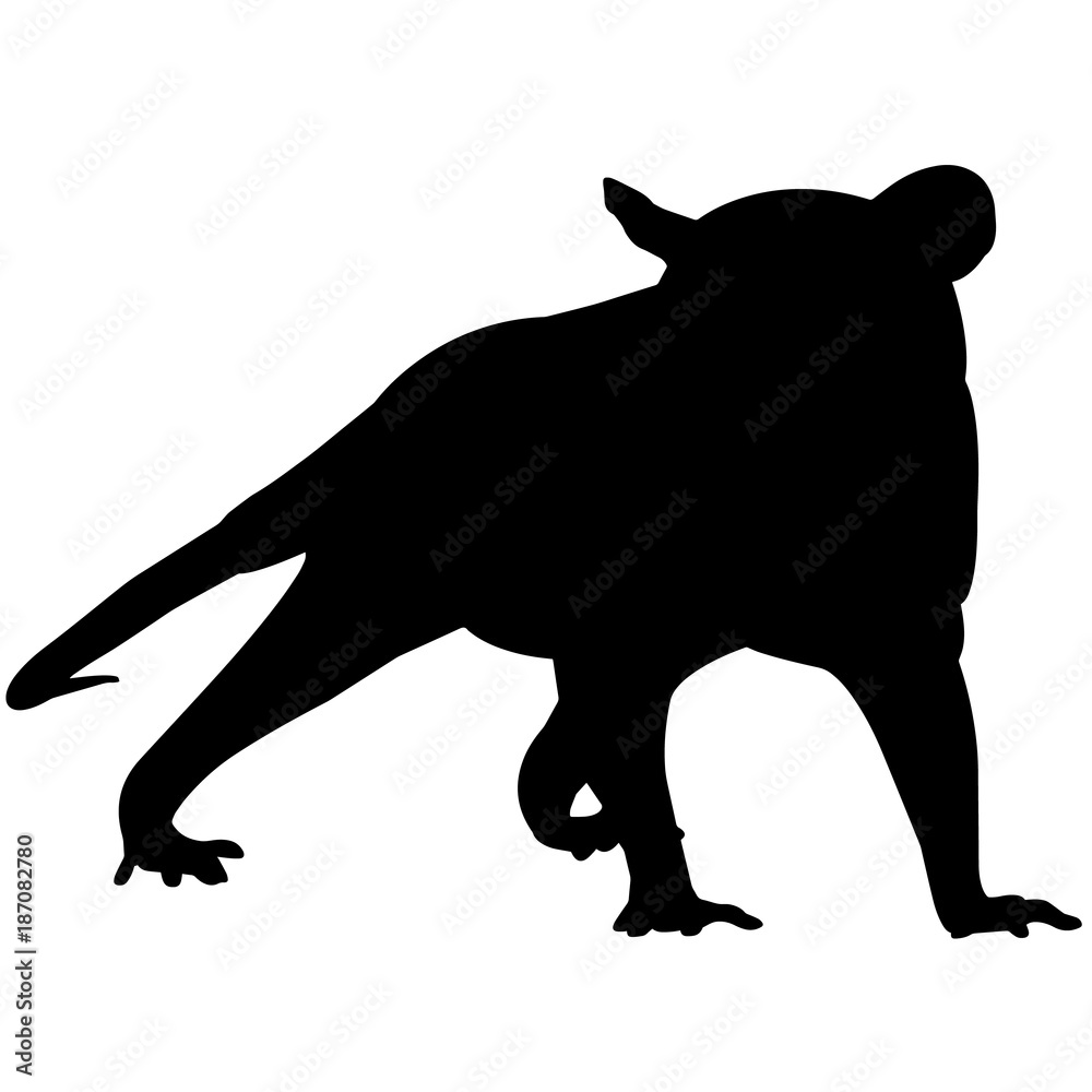 Possum Silhouette Vector Graphics Stock Vector | Adobe Stock