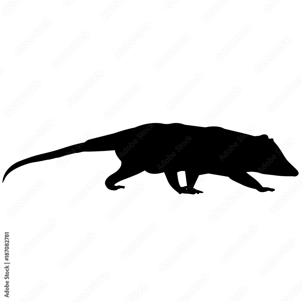 Possum Silhouette Vector Graphics Stock Vector | Adobe Stock